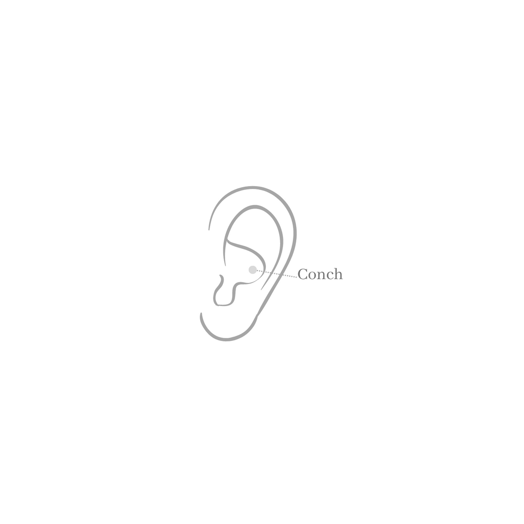 Conch – 101 Piercing