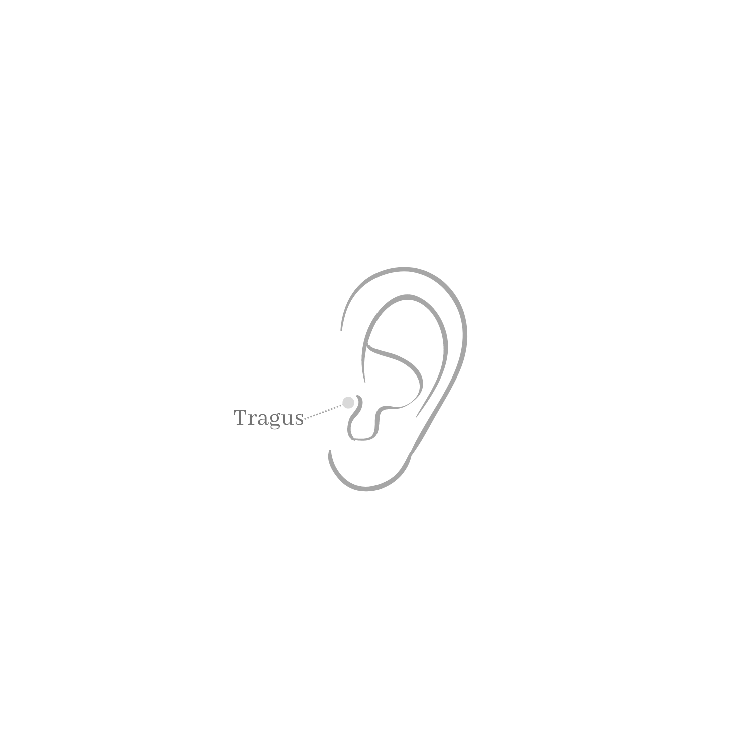 Tragus – 101 Piercing